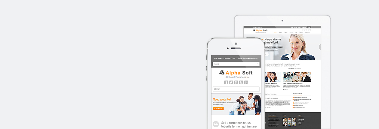 Alphasoft Solutions Inc